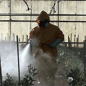 Dramm Cold Foggers - Retail, Educational, & Commercial Greenhouse ...