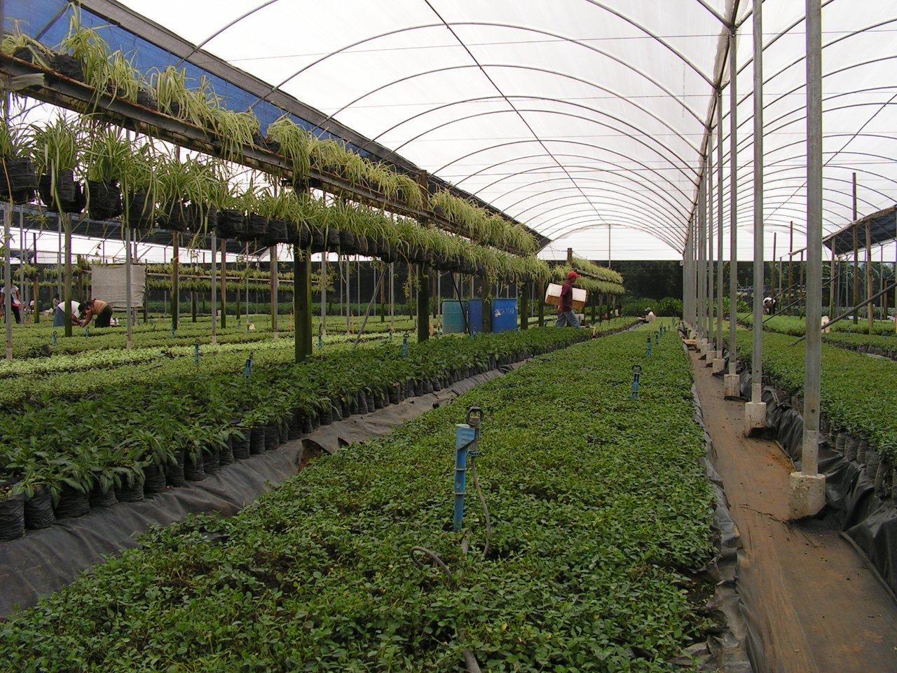 Poly-Ag - Retail, Educational, & Commercial Greenhouse Solutions BWI ...
